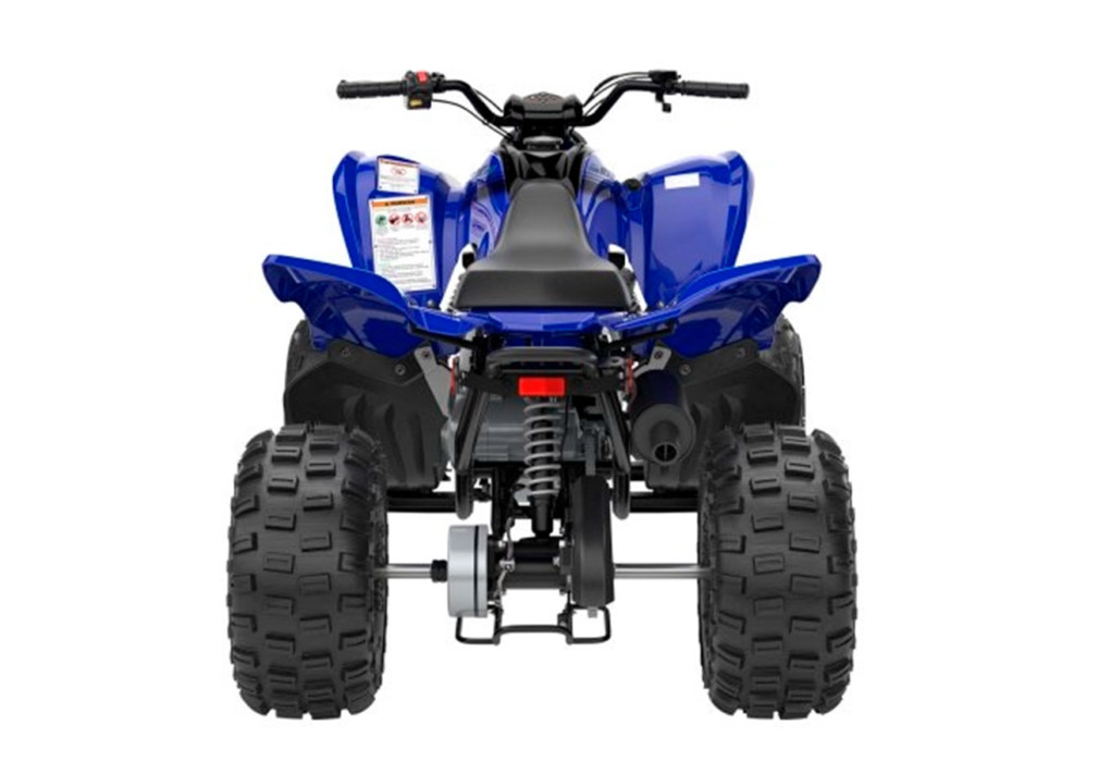 RAPTOR 110 - Yamaha Motos