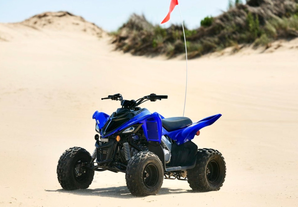 RAPTOR 110 - Yamaha Motos