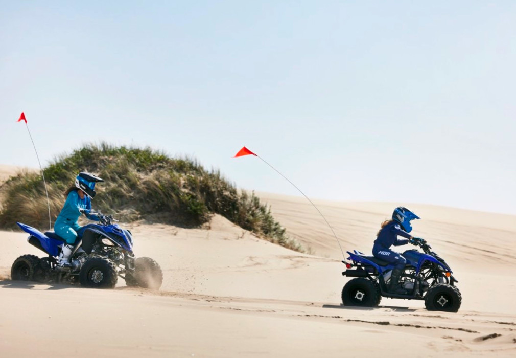 RAPTOR 110 - Yamaha Motos