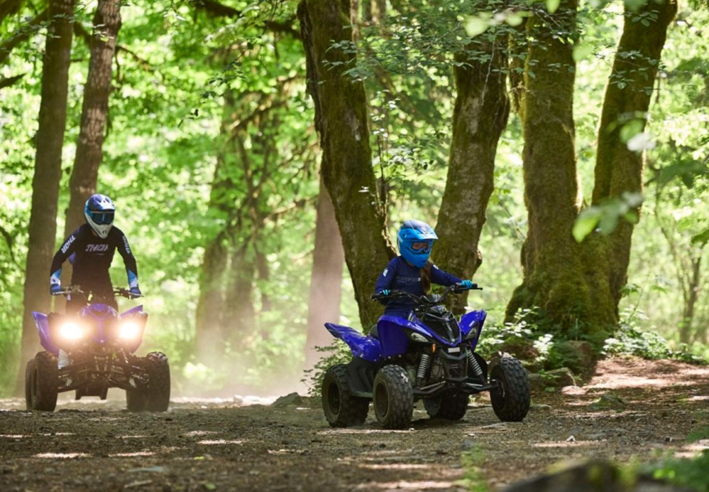 RAPTOR 110 - Yamaha Motos